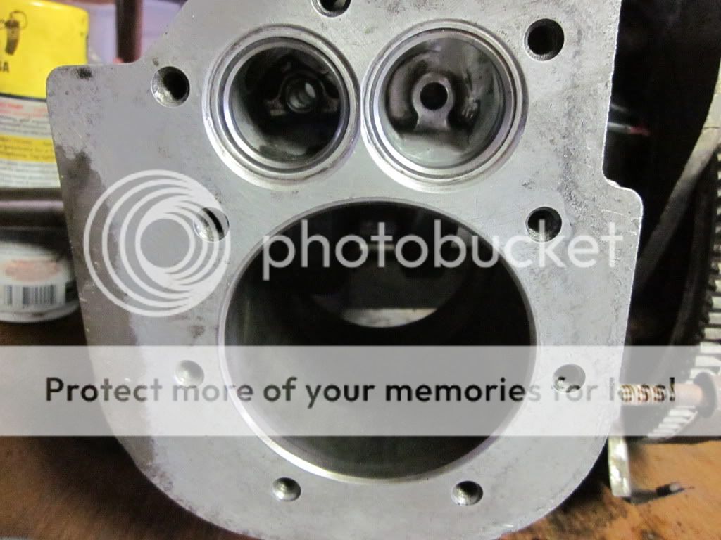 Briggs Opposed Twin Project!